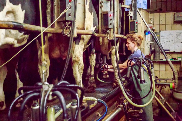 Melkerin – Sonja Evers – 40 Stunden