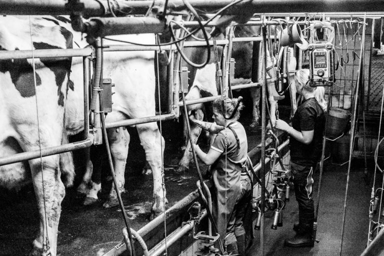 Melkerin – Sonja Evers – 40 Stunden